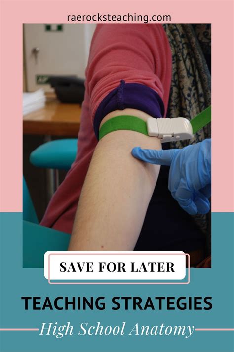 3 Strategies To Teaching High School Anatomy And Physiology Artofit