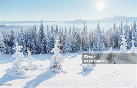 환상적인 겨울 풍경입니다 서리가 하루 산에서 마술 일몰입니다 에 휴일의 이브 극적인 장면입니다 카 르 파티 아 우크라이나 유럽입니다 가리기에 대한 스톡 사진 및 기타 이미지