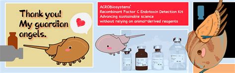 Application Of Recombinant Factor C Technology In Pharmaceutical Manufacturing Processes Application Of Recombinant Factor C Technology In Pharmaceutical Manufacturing Processes