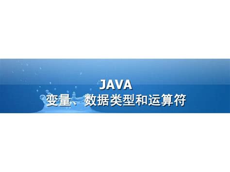 java变量数据类型和运算符 word文档在线阅读与下载 无忧文档