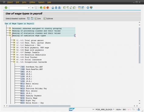 Identifying Accumulation Wage Types Free SAP Online Training Tutorial