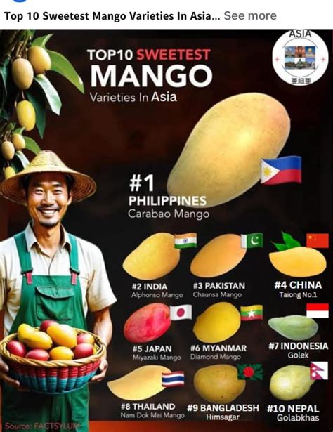 Philippine Mango Fruit