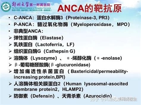 2022年anca相关血管炎诊疗进展 知乎