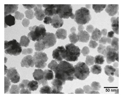 Physicochemical Properties Of Magnetite Nanoparticles Ac Tem Image