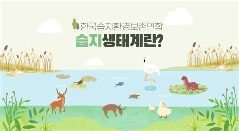 사한국습지환경보존연합