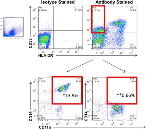 Representative Flow Cytometry Staining For Myeloid Derived Suppressor