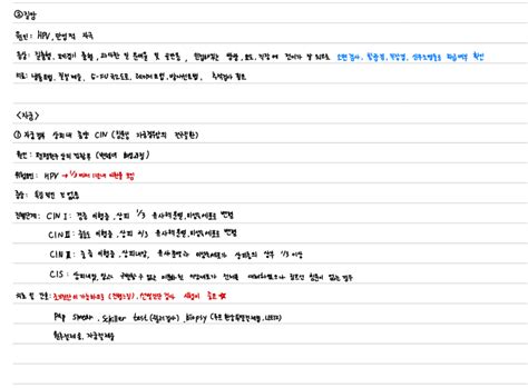 여성모성간호학 Chapter 03 여성 생식기 건강문제 1 네이버 블로그