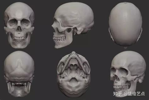 自学zbrush一个月，零基础，没有美术功底，只是之前学过一个月maya，我这天赋算好的嘛 知乎