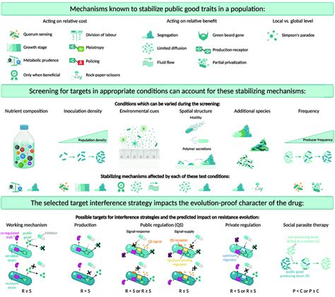 Direct Identification Of Novel Evolution Proof Treatments Implies Both Download Scientific