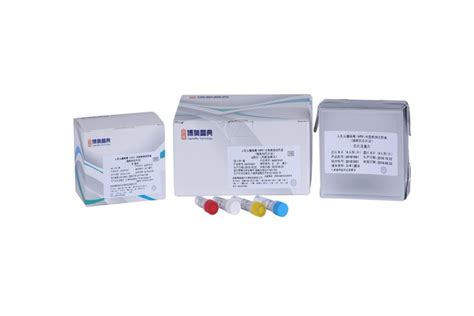 Human Papillomavirus Hpv Genotyping Detection Ivd Medical Device