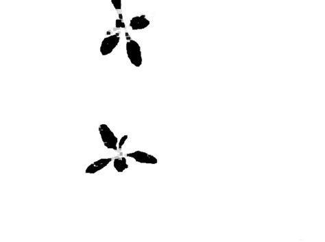 Final Weed Detection Object Detection Dataset And Pre Trained Model By
