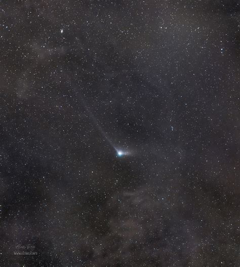 Comets E Long Tail Astrocat