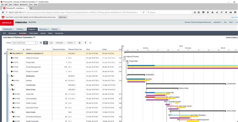 Primavera P6 Eppm Defining Baselines