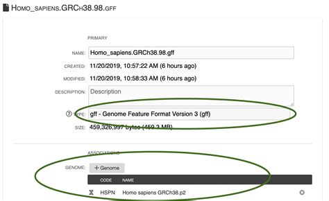 New Ergo Feature Gff Visualization — Igenbio