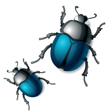 Beetle Wings Vector Images Over 13000