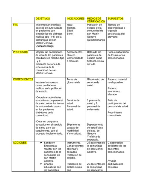 Matriz Del Marco Logico Pdf