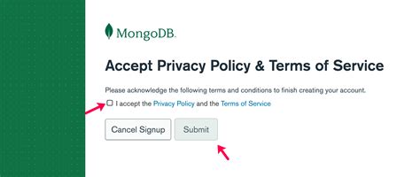 Github Payne In Bahrainu2lessonsmongodbatlas Atlas Setup