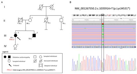 Cimb Free Full Text A Novel Nonsense Pathogenic Ttn Variant