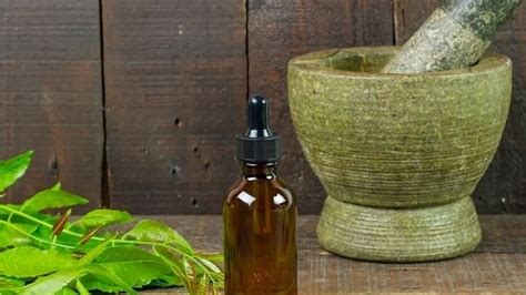 Ayurveda Secrets To Combat Cough And Cold In Winter Health
