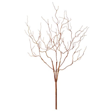 Primrue 63 Twig Branch And Reviews Wayfair