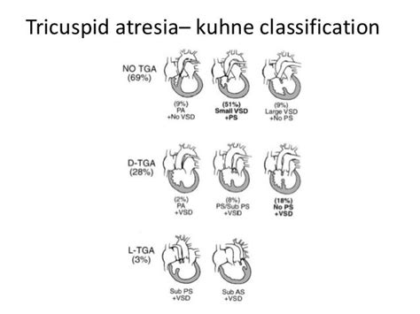 Classification Of Chd