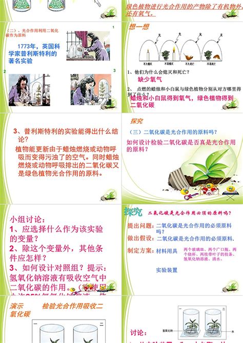 七年级上册第三单元第五章第一节光合作用吸收二氧化碳释放氧气课件PPT模板 卡卡办公