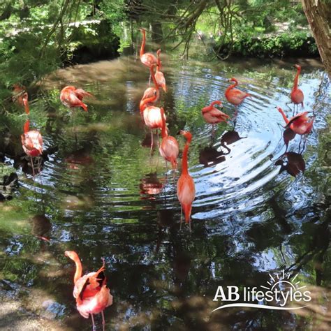 Dale And Debbie Part 53 Sunny Florida Ab Lifestyles Airstream And Rv