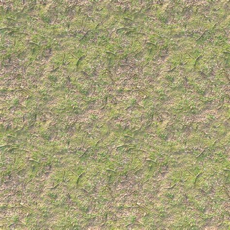 Seamless Forest Ground Texture