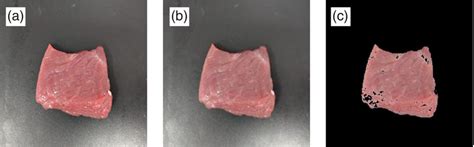 Image Preprocessing Process Of Lamb Meat Download Scientific Diagram