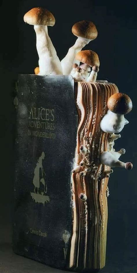 Mycelium Lab Mycelium Lab Updated Their Cover Photo