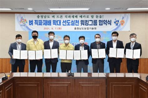 충남 벼 직파재배 확대 실시예정 농축산기계신문