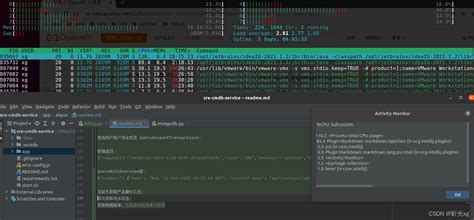 Ubuntu Intellij Idea Cfanz