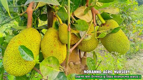 Preety House Preety House Added A New Photo