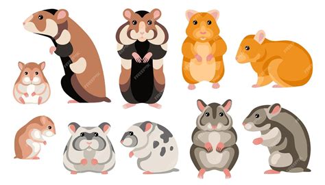 Ensemble De Dessins Animés De Hamster De Personnages De Rongeurs