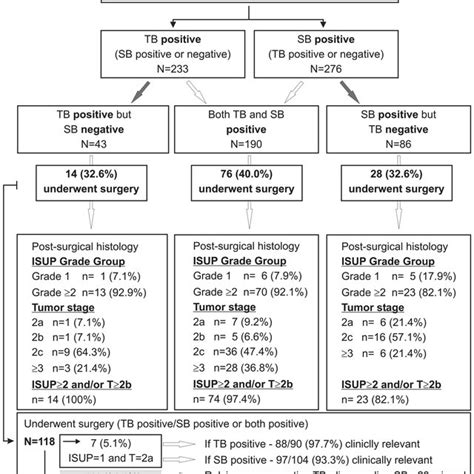 Pi Rads V2 1 Assessment For Tz Download Scientific Diagram