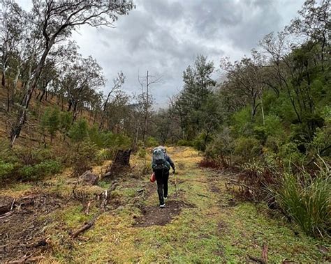 The 10 Best Things To Do In Walcha Updated 2023 Must See