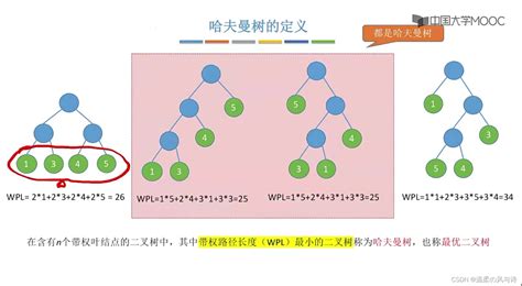 王道数据结构第五章：树与二叉树 王道树与二叉树 csdn博客