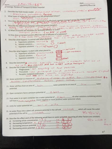Cell Transport Worksheet Biology Answers Ap Biology Biology Review