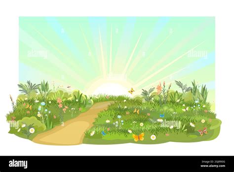 Rural Road Obliquely To Green Glade Summer Meadow Flower Trail