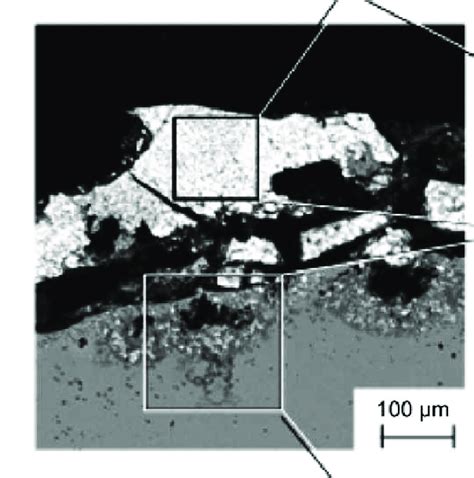 Microstructure Of Interface Between Steel Lower Grey Layer And Download Scientific Diagram