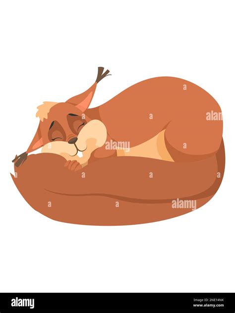 Cute Sleeping Squirrel Cartoon Vector On White Stock Vector Image And Art
