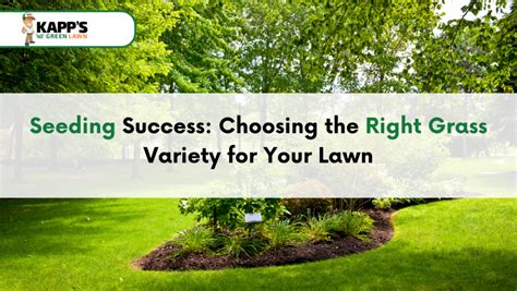 Choosing The Right Grass Variety For Your Lawn Kapps Green Lawn
