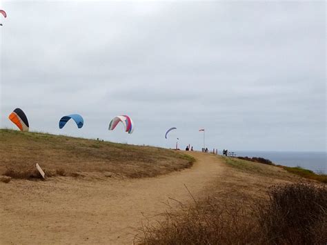 Torrey Pines Gliderport La Jolla Alt Du Skal Vide Før Du Besøger