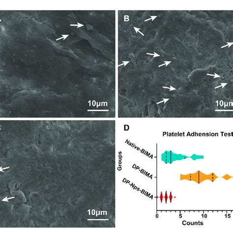 The Results Of Platelets Adhesion Assay For Different Groups A Is