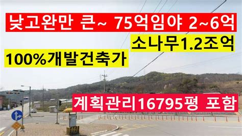 2억 39억짜리 수~만평 2차선접 계획관리포함 감정잘못 돈버는 싼임야 전원생활 숲야영장6차산업 숲가치13조억 탄소권5709만원 숲경영 땅과함께새희망을경매임야공매임야