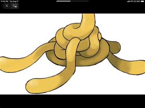 Shuckle With No Shell 😳 R Cursedpokemon