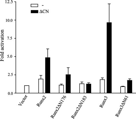 functional importance of n terminal sequences for transactivation by