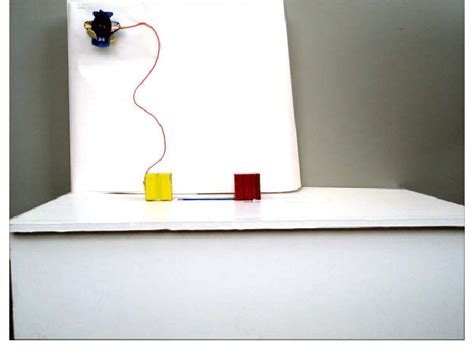 Stimuli And Stage Used In Experiments 1 3 And 5 Download Scientific