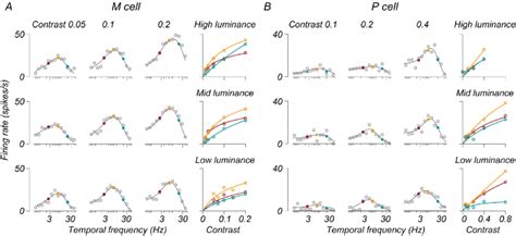 Illustrates The Temporal Frequency Tuning Of Two Cells One M And One Download Scientific