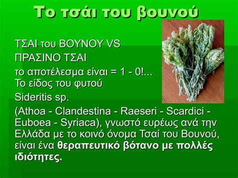 Το τσάι του βουνού Ppt